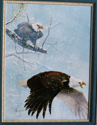 The biography of Jason DENARO: information and auctions for the ...