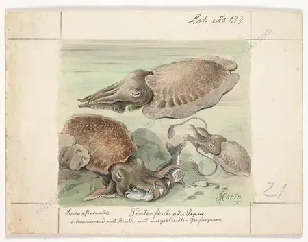 Louis MORIN (1855-1938) Estimer. Prix aux enchères. Cote, acheter ...