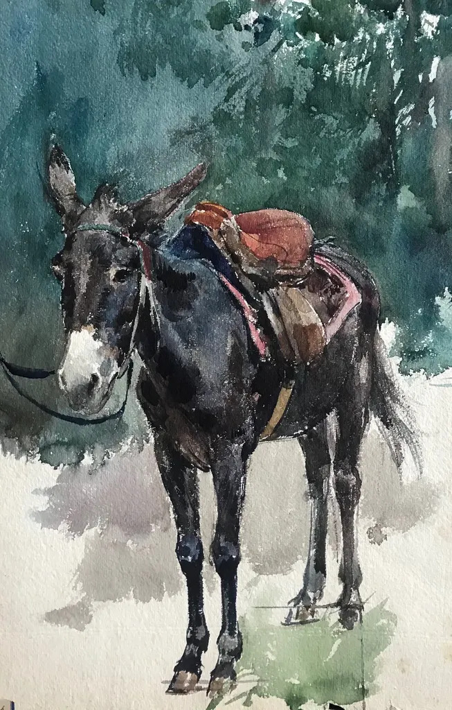 Peinture De Burro