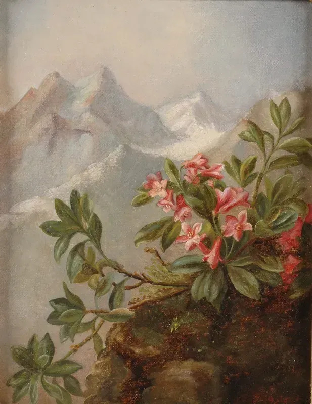 "Alpine Flowers",by Joseph Schuster, Oil on Canvas by | Josef SCHUSTER ...