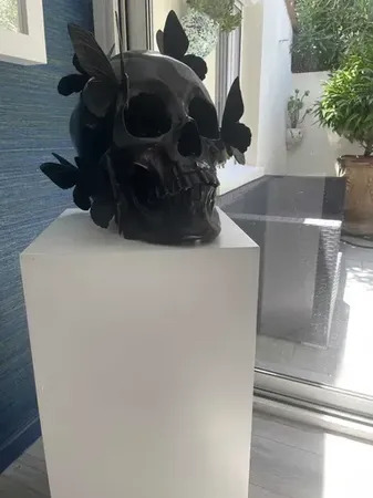 philippe pasqua vanite