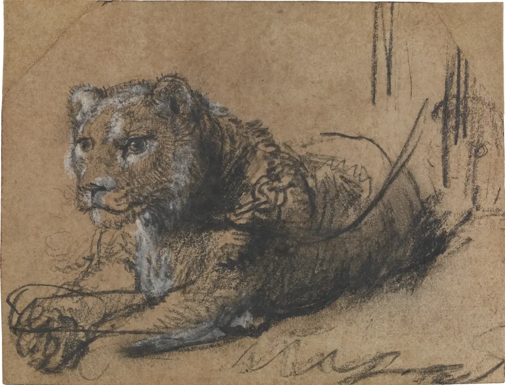 Rembrandt’s "Young Lion Resting", a major work from the Leiden ...